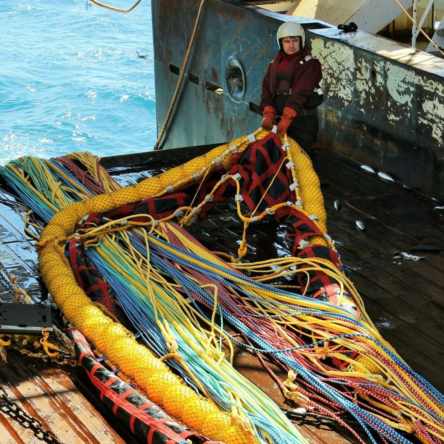 Fishing net - Falcon - Vónin - trawl