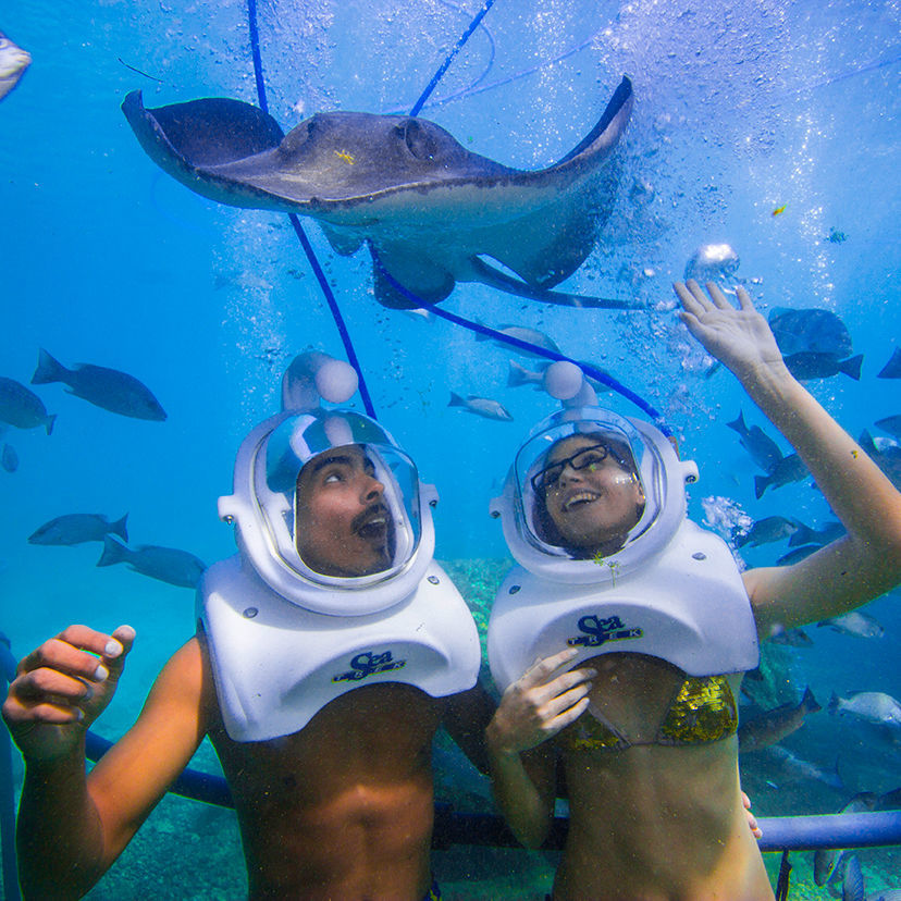 Guided tour diving helmet - SeaTREK - SUB SEA SYSTEMS - recreational