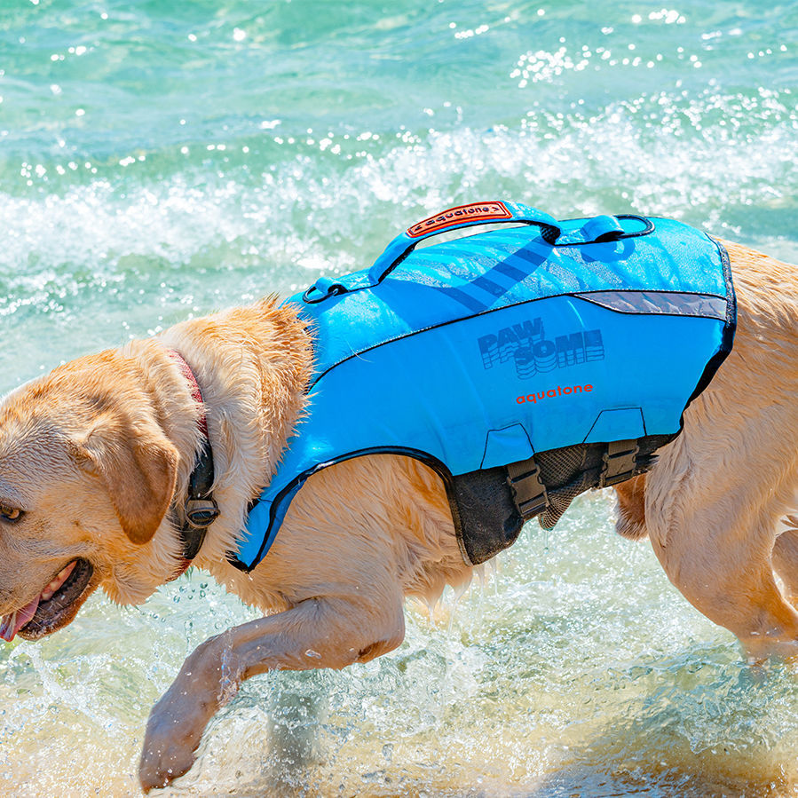 Watersports buoyancy aid - PAWSOME - Aquatone - for pets / foam / blue