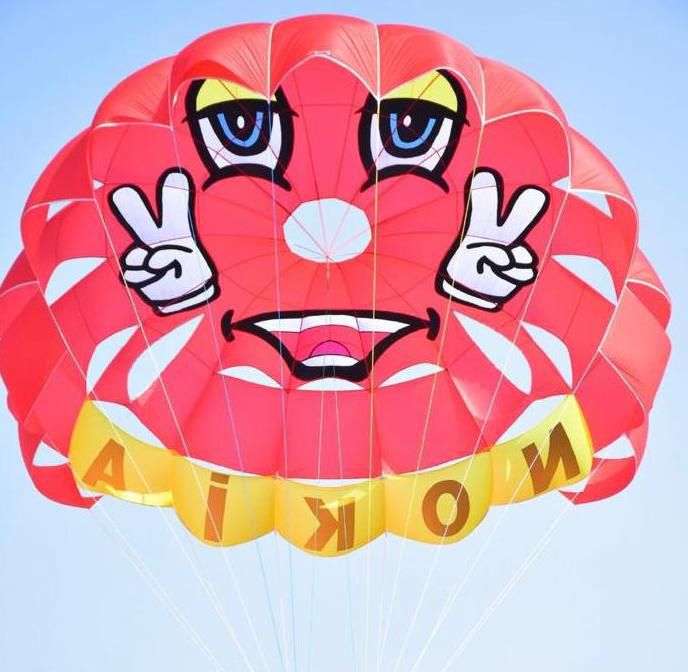 Custom parasail - RP39 FT JUPITER - Risus Parasails - for high winds ...