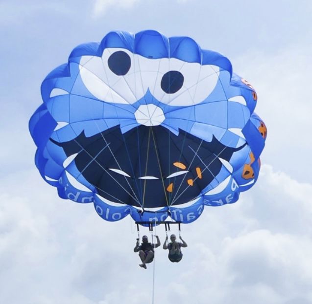 Custom parasail - RP27 FT Orbit - Risus Parasails - for high winds ...