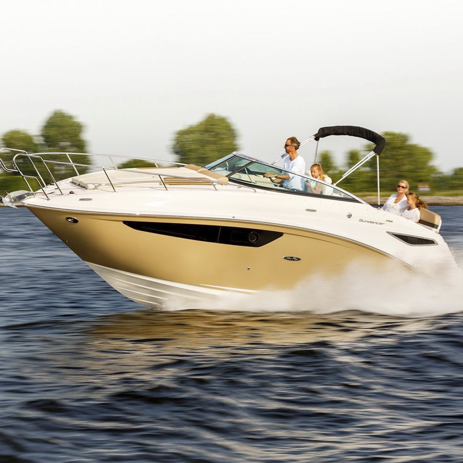 Inboard cabin cruiser - SUNDANCER 265 - Sea Ray - open / sport / sea