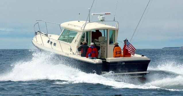 Inboard express cruiser - 31 TOURNAMENT EXPRESS - Albin Marine - diesel ...
