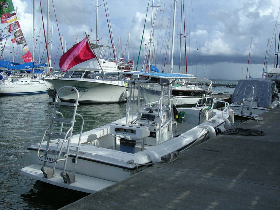 Inboard center console boat - 26' - Newton Boats - dive / with T-top