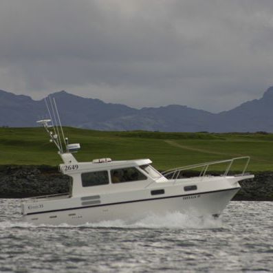 Diesel express cruiser - Trefjar - inboard / wheelhouse / sport-fishing