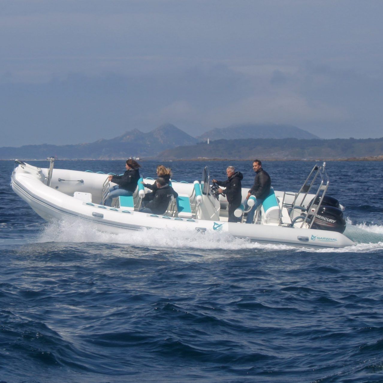Sightseeing boat - SP-800 - Narwhal - dive support boat / outboard ...