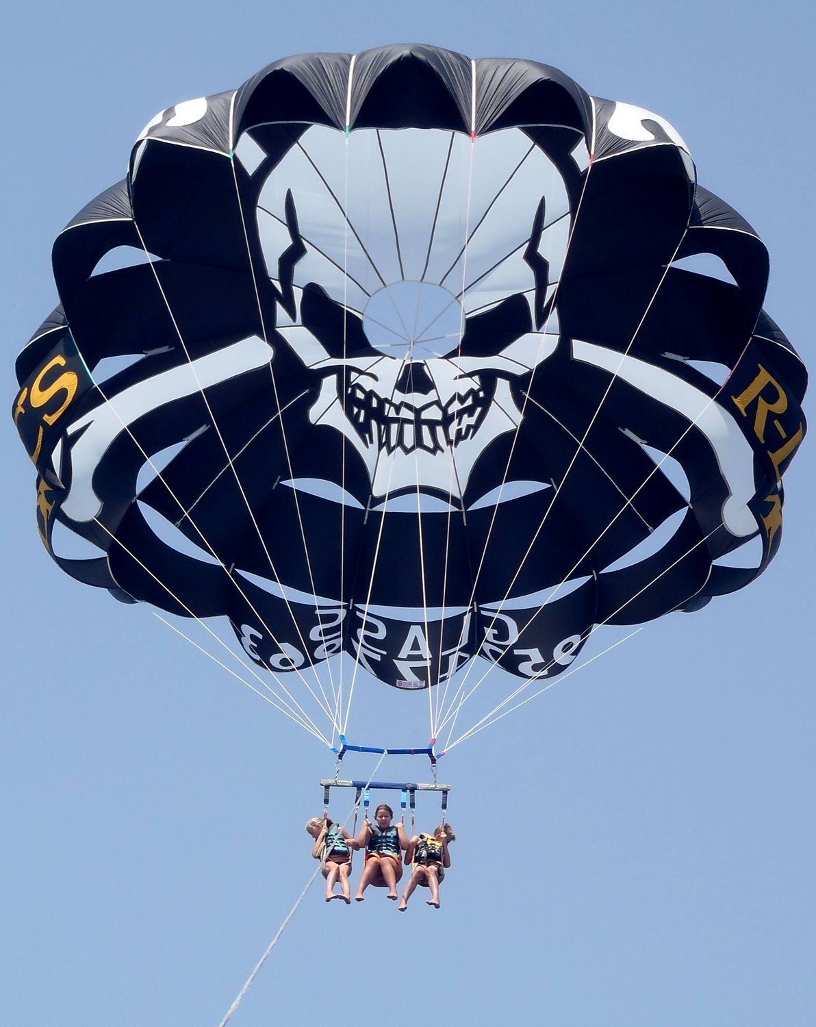 Custom parasail - Custom Design / Logos - WATERBIRD PARAKITES - 1-3 persons