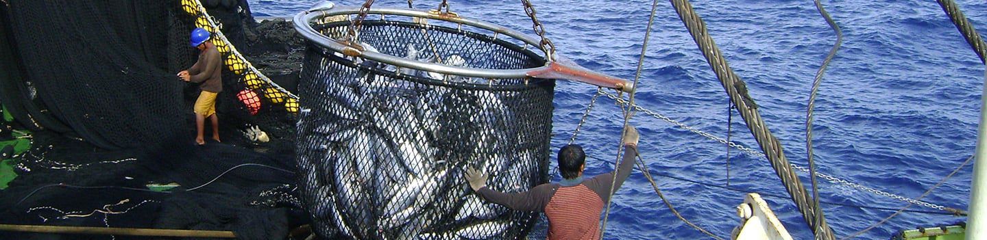 Ship sonar - MF90 - Simrad - side scan