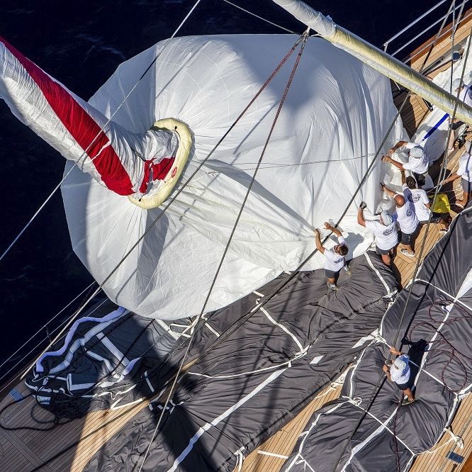 Spinnaker sock - (Size 02, 03, 04, 05) - C-Tech