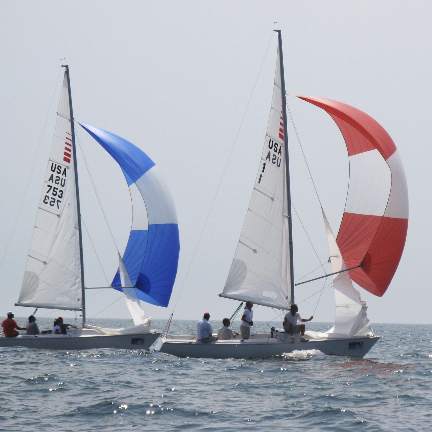 Mainsail - Doyle - headsail / spinnaker / for one-design sport keelboats