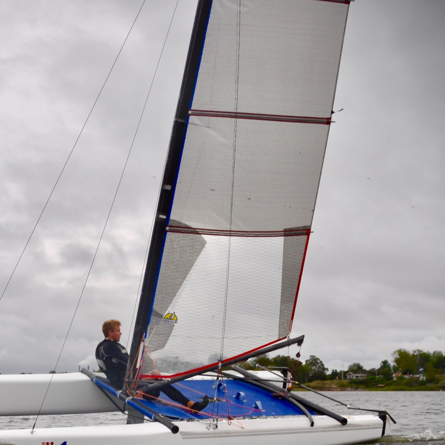 Mainsail - A-CAT - Doyle - for one-design sport keelboats