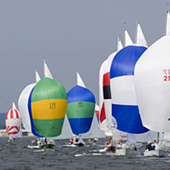 Spinnaker - SHIELDS - Quantum Sails - for one-design sailboats / cross-cut