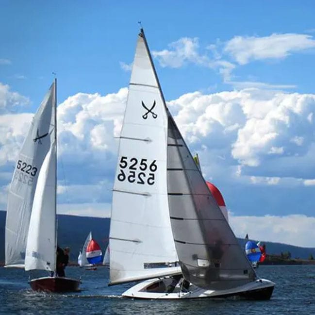 Mainsail - Buccaneer - Quantum Sails - jib / spinnaker / for sailing ...