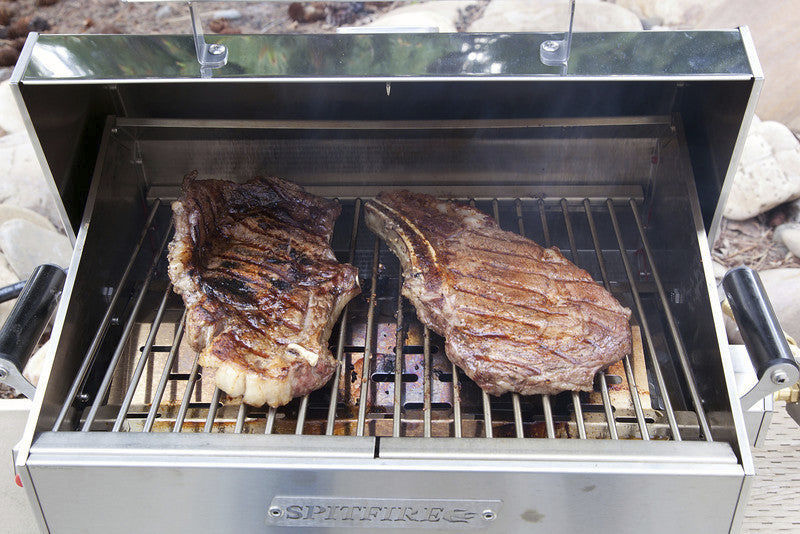 Gas marine barbecue - Spitfire 180 - Dickinson Marine - portable