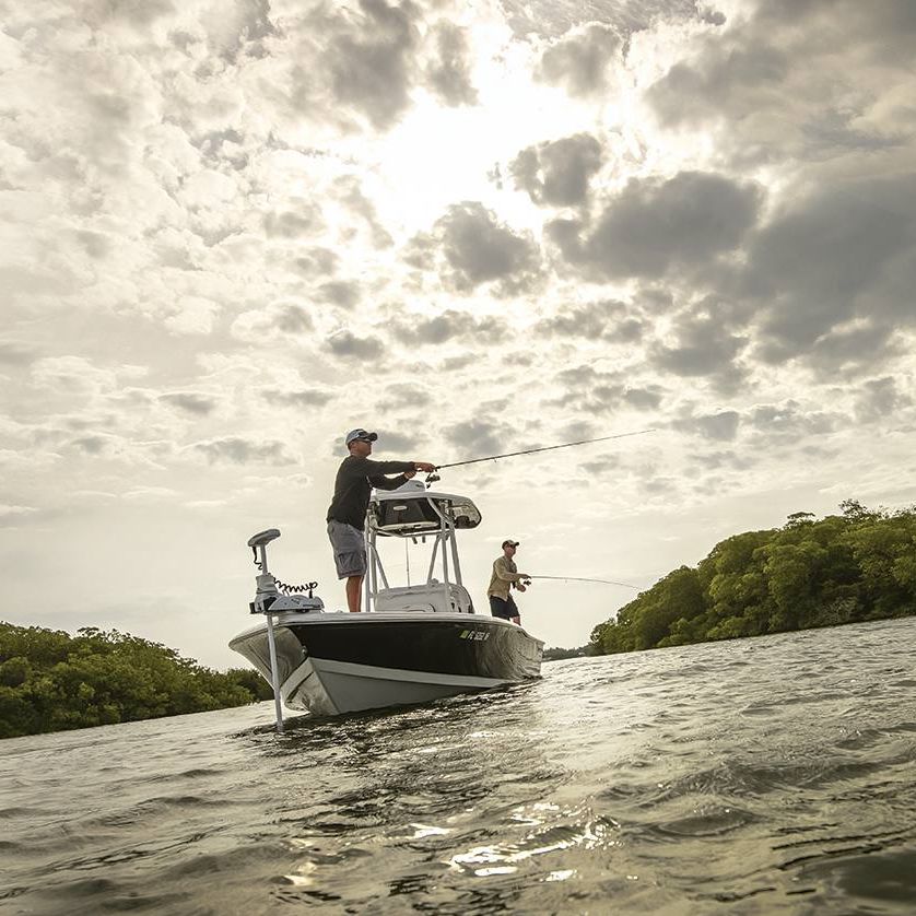 Outboard engine - Riptide Terrova - Minn Kota - bow / electric / boating