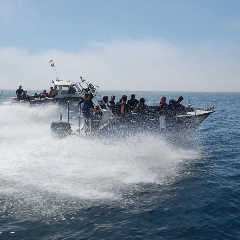 Dive support boat - M650 - MOGGARO ALUMINIUM YACHTS - outboard / aluminum