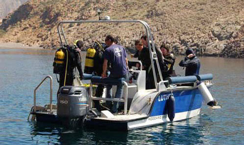 Dive support boat professional boat - MOGGARO 650 - MOGGARO ALUMINIUM ...