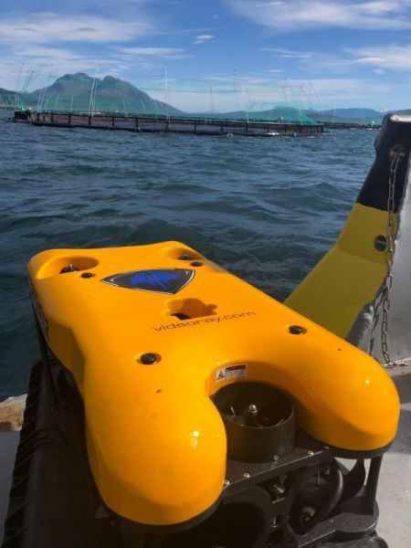 Intervention underwater ROV - Defender - VideoRay