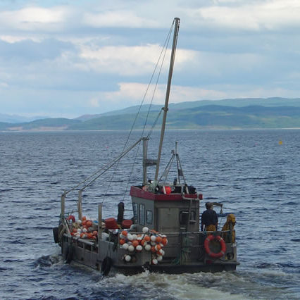 Utility boat - ALN 007 ‘Solaster’ - Alnmaritec - catamaran / inboard