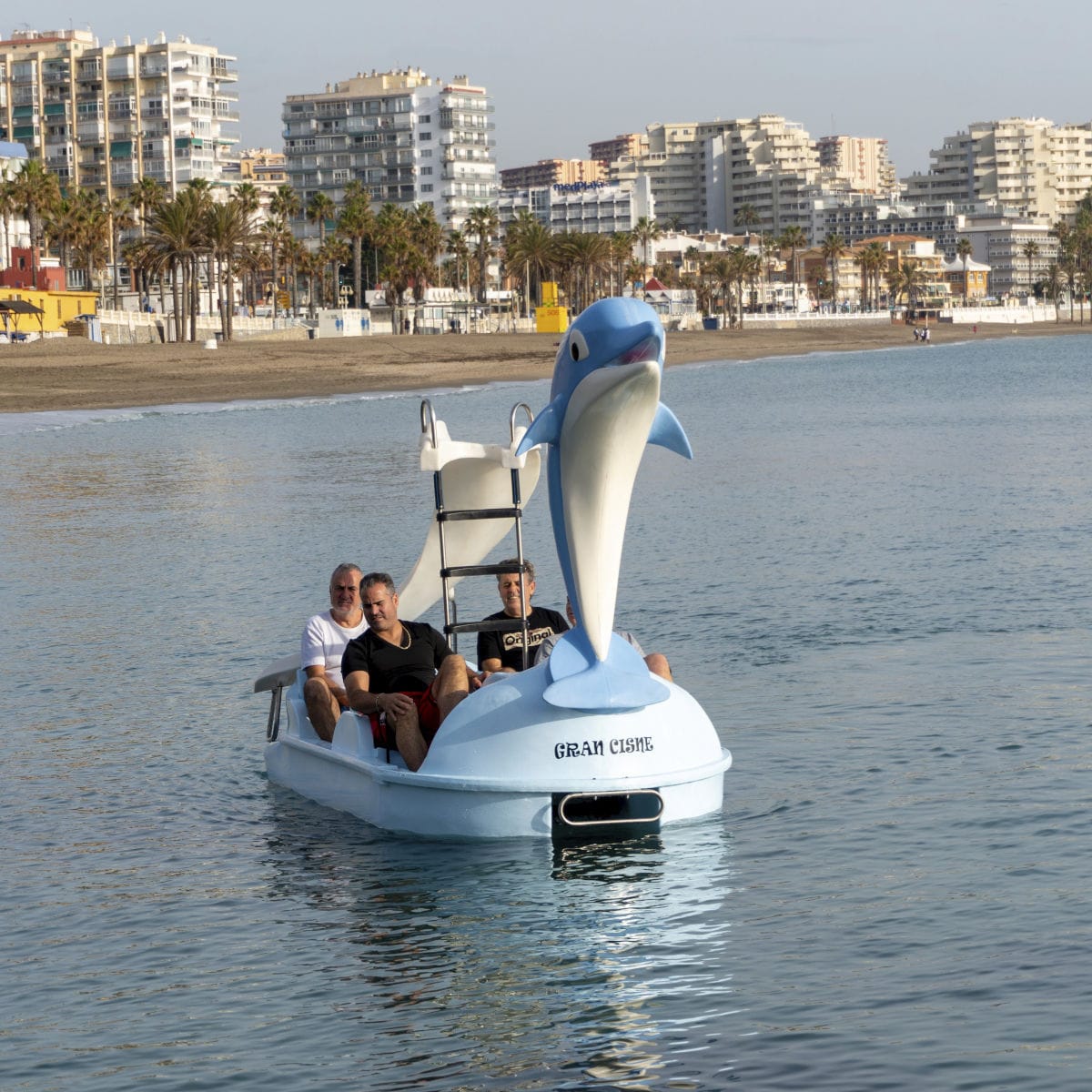 Awesome 4 Person Paddle Boat