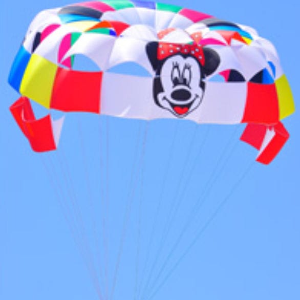 Custom-made parasail - Skylar - Pegasus Parasails - 1-4 persons