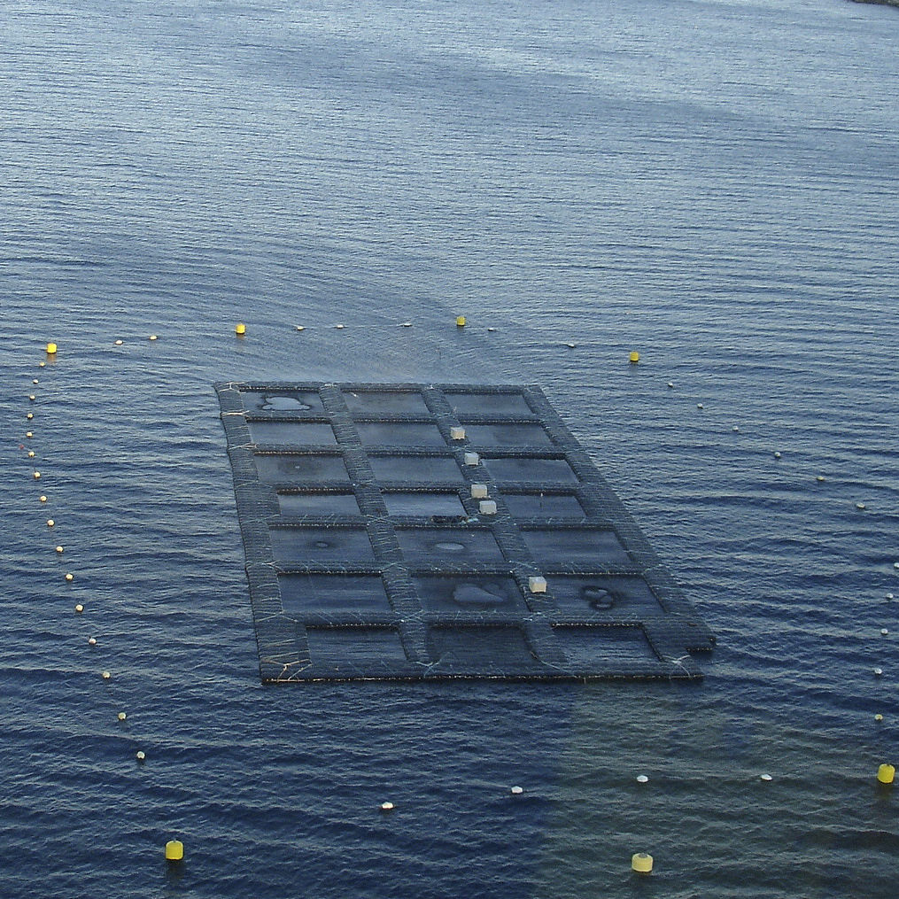 Floating dock - Fish farming - Cubisystem - mooring / for aquaculture ...