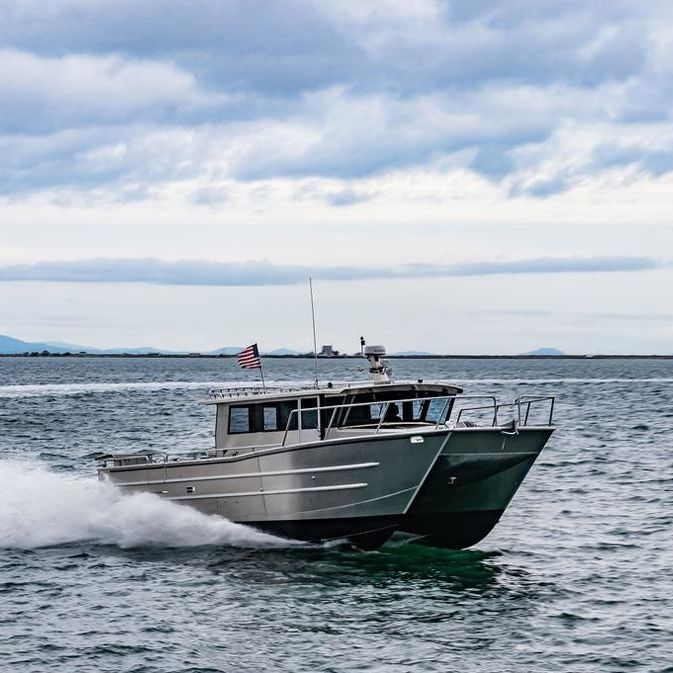 Professional fishing boat - 4216-CTC - Armstrong Marine - catamaran ...