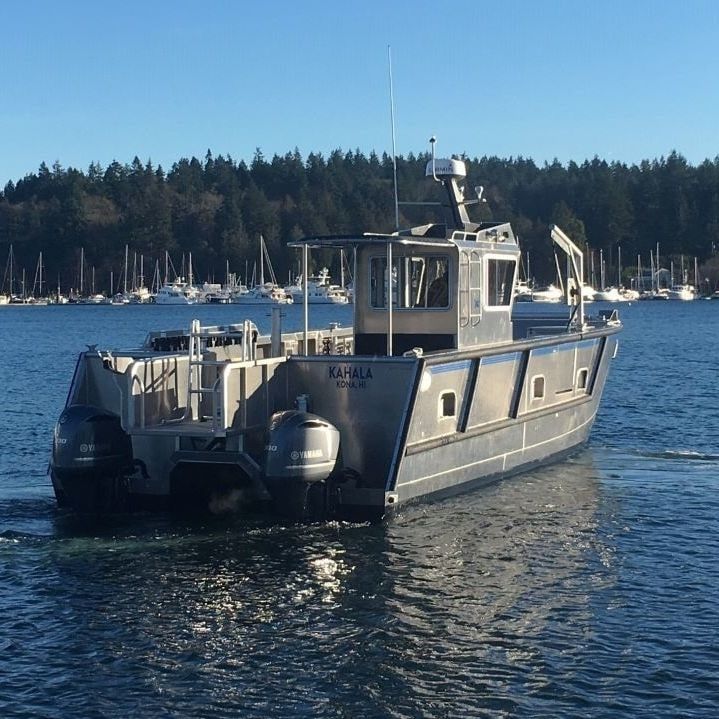 Landing craft - 4014-CTC - Armstrong Marine - catamaran / outboard ...