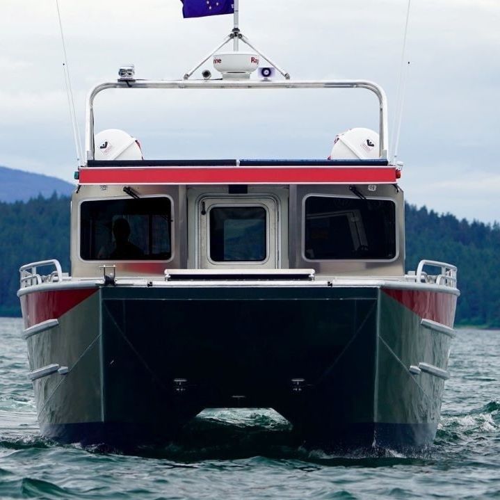 Landing craft - 4715-CTC - Armstrong Marine - catamaran / outboard ...