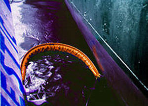 Pollution control boom - FLEXIBELT - Elastec - rigid-float / sheltered ...