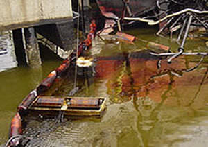 Rotary drum oil skimmer - TDS136 - Elastec