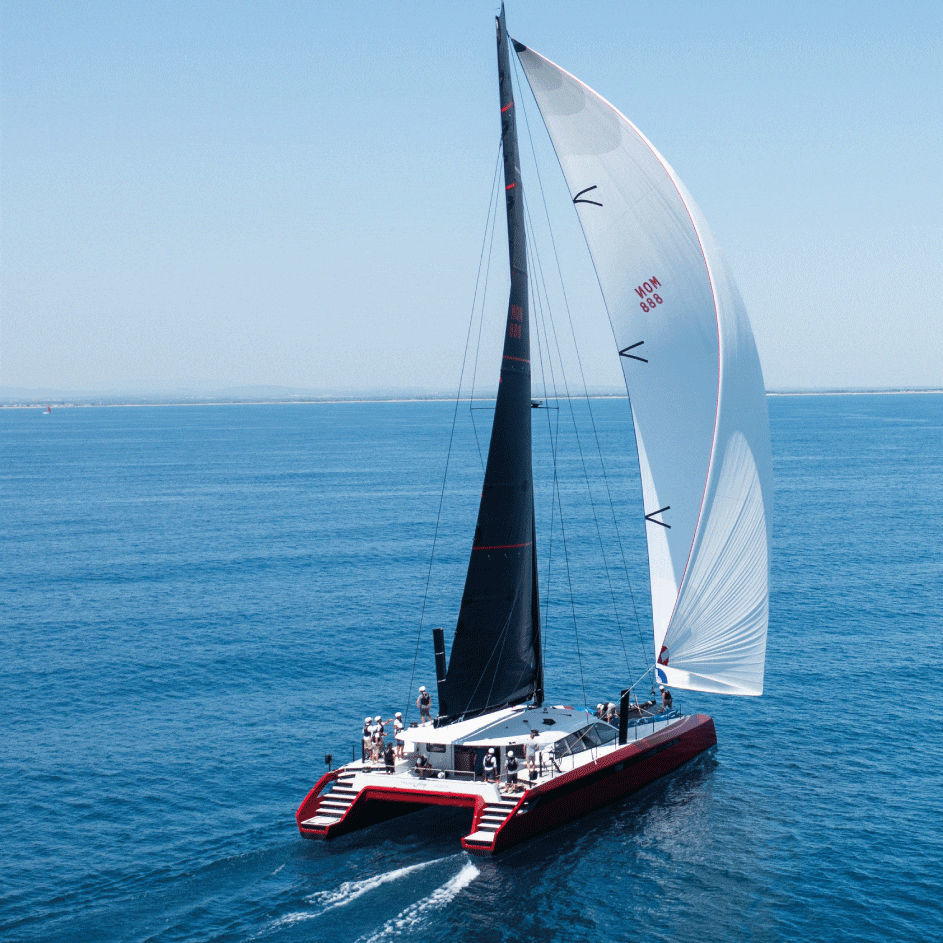 Catamaran sailing yacht - 80 - Gunboat - cruising / racing / 4-cabin