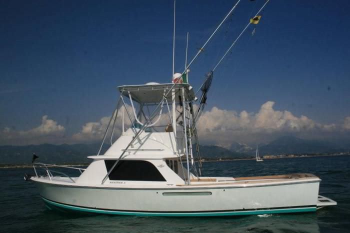 Power boat Bimini top - Bertram 31 - Fantin Paolo - flybridge ...