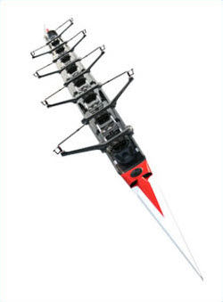 Racing shell - 8+ - Martinoli - eight skiff