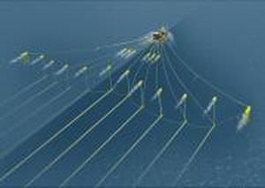 Seismic survey cable - Cortland - streamer / marine