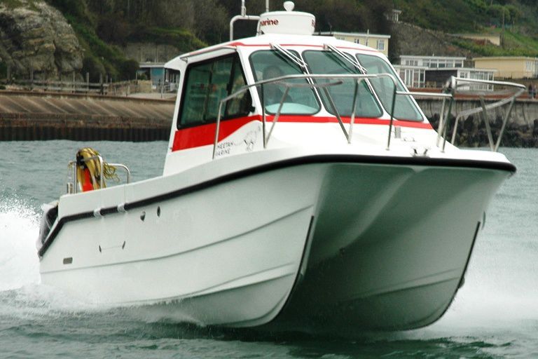 Patrol boat - Saila Vie - Cheetah Marine - catamaran / outboard