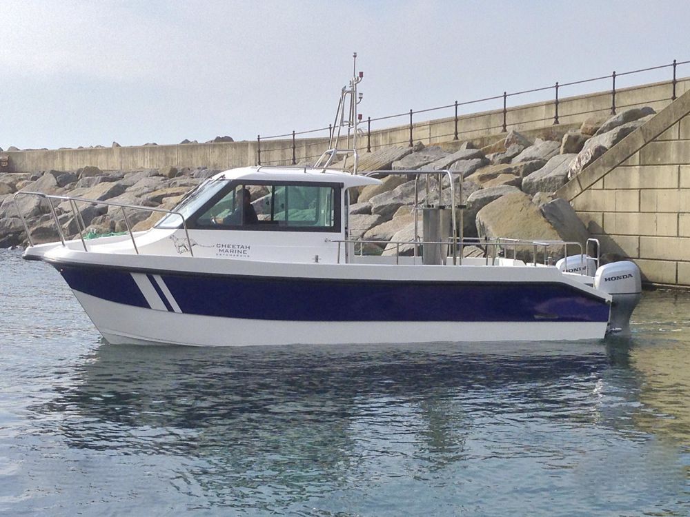 Hydrographic survey boat - Cheetah Marine - catamaran / outboard / aluminum
