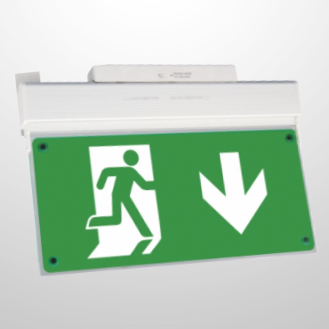 Emergency light - ZLD-28/EM/MAR - SEABRIGHT - indoor / for ships / LED