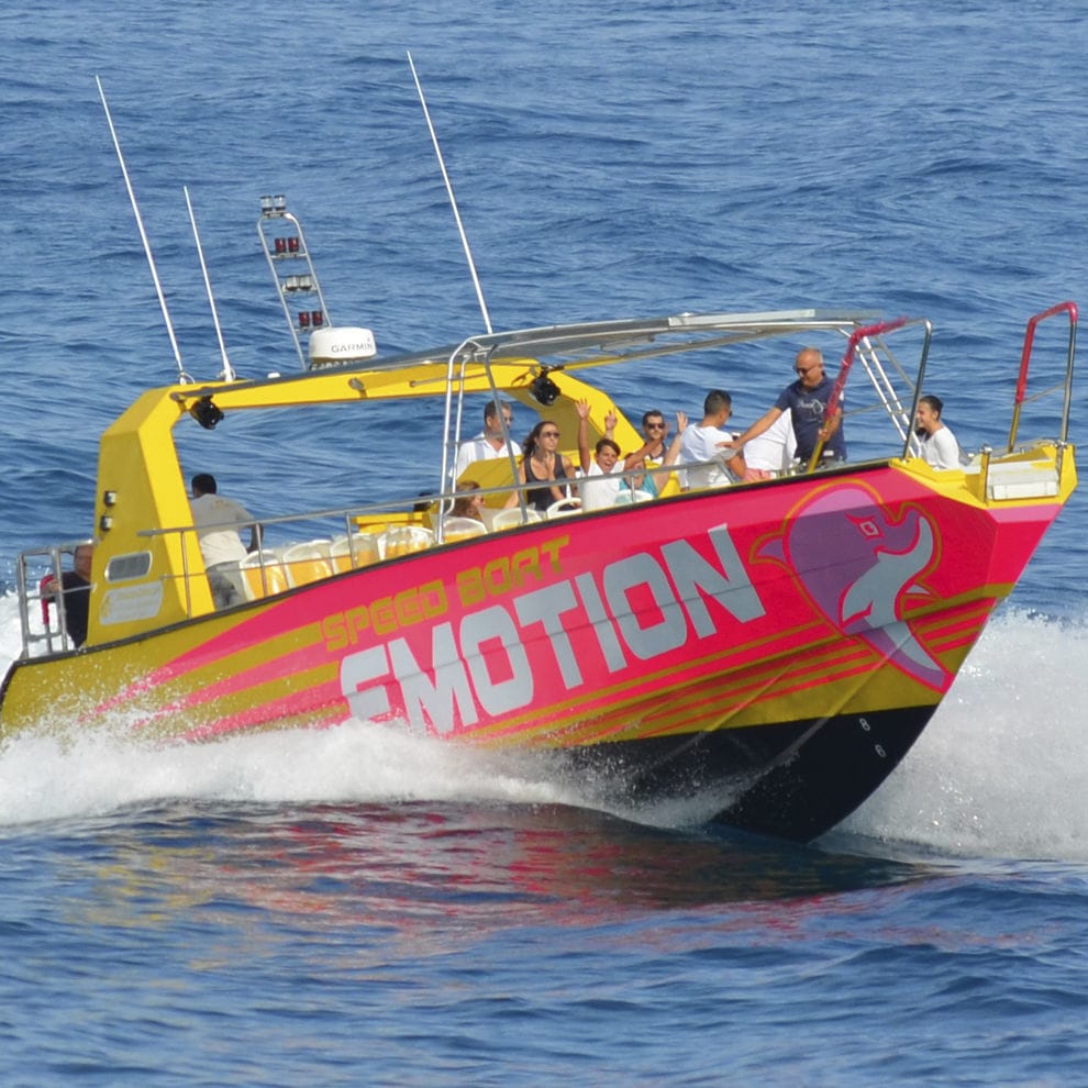 Excursion boat - DOFI EMOTION - Drassanes Dalmau, S.A - outboard