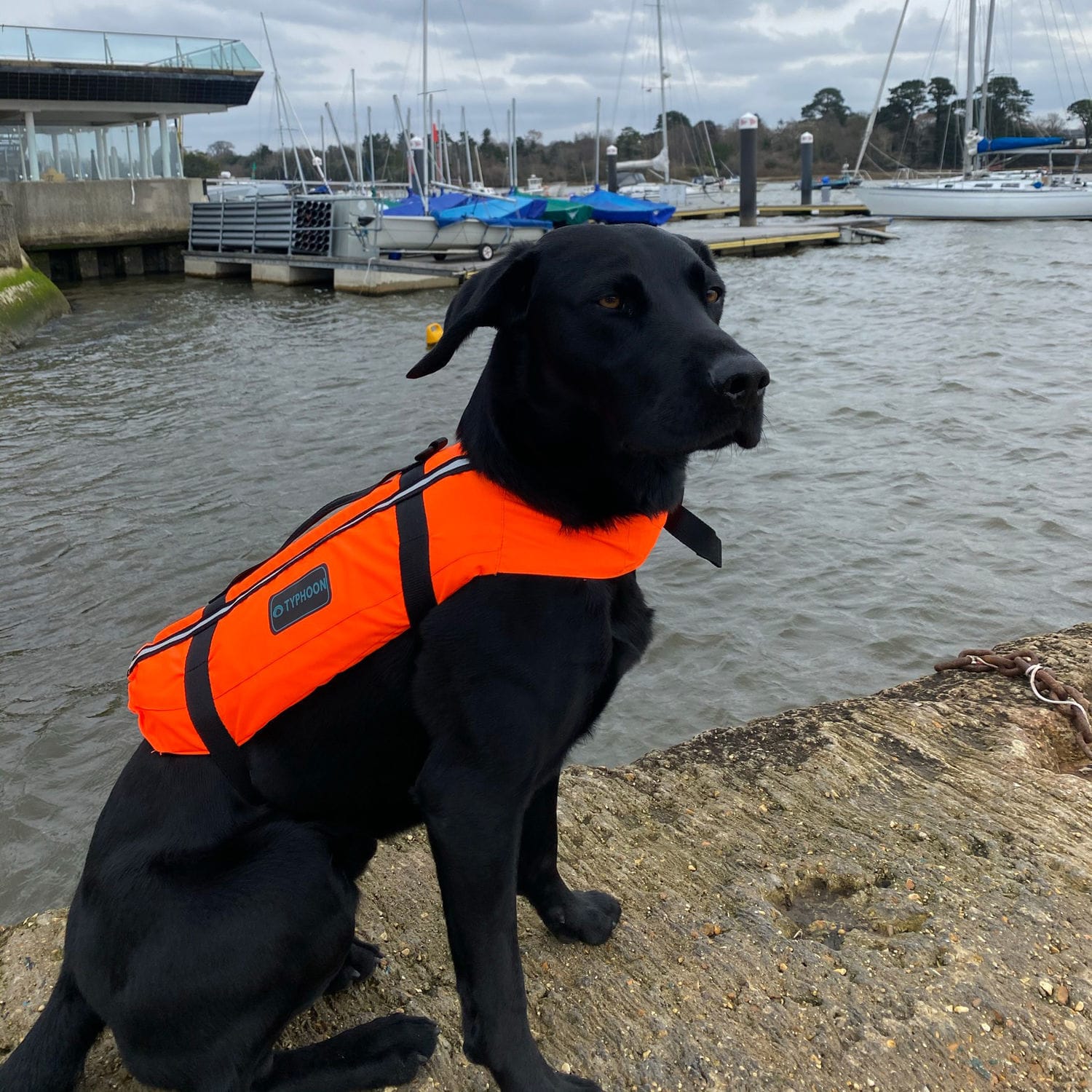 Watersports buoyancy aid - TOTLAND - Typhoon International Limited ...