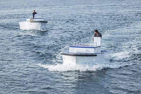 Work boat professional boat - ZYON - inboard