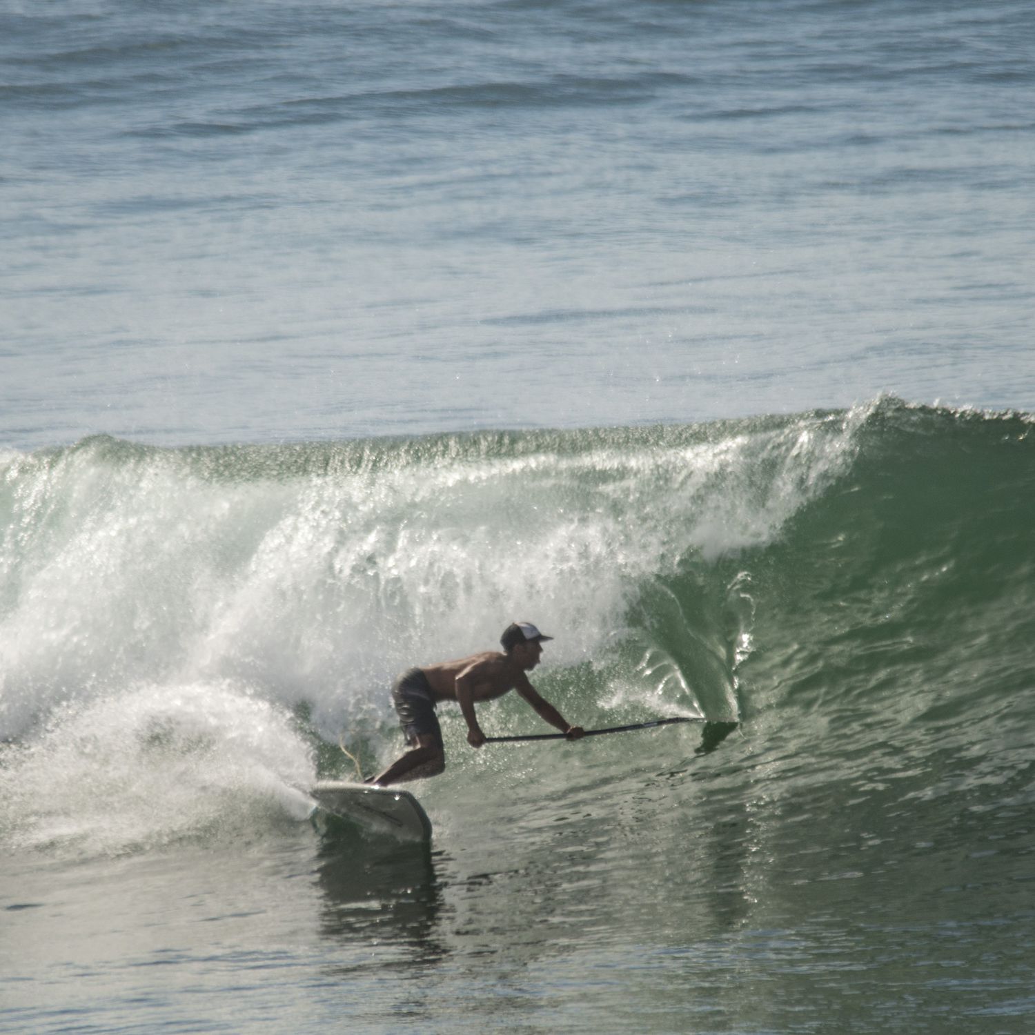 Wave SUP - 8'1 - Indiana Paddle & Surf - epoxy / foam / carbon