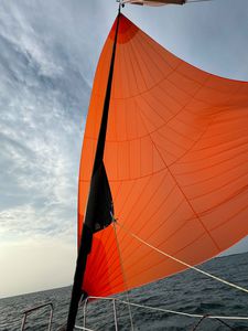 Downwind sail - All boating and marine industry manufacturers