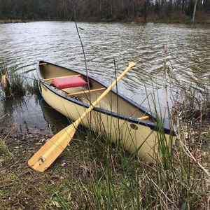 Canoe paddle - Explorer Plus - Bending Branches - flatwater ...