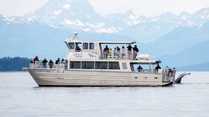 Sightseeing boat - 4519-DCT | PaxCat - Armstrong Marine - catamaran ...