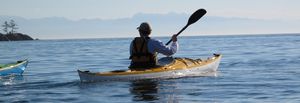 Performance touring kayak - Raven - Eddyline Kayaks - sea / adult / solo