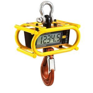 Digital crane scale - Ron 2150 - Eilon Engineering - for cranes / for ...