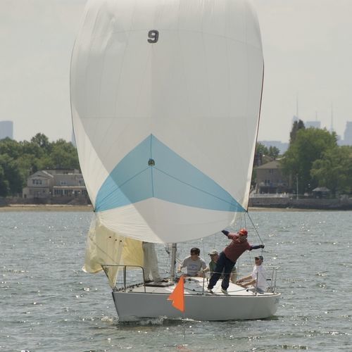 Mainsail - Doyle - genoa / jib / for one-design sport keelboats