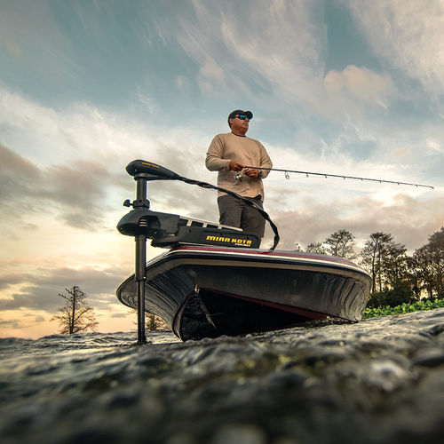 Outboard engine - Fortrex - Minn Kota - bow / electric / boating
