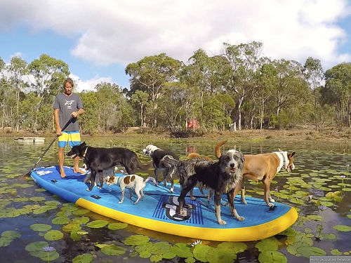Inflatable SUP - MONSTAIR - JP Australia - race / 7-seater and up